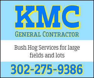 The Guide - Jobs Available